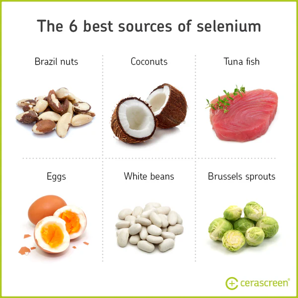 What is Selenium Used For And Where to Find it - Edition Time