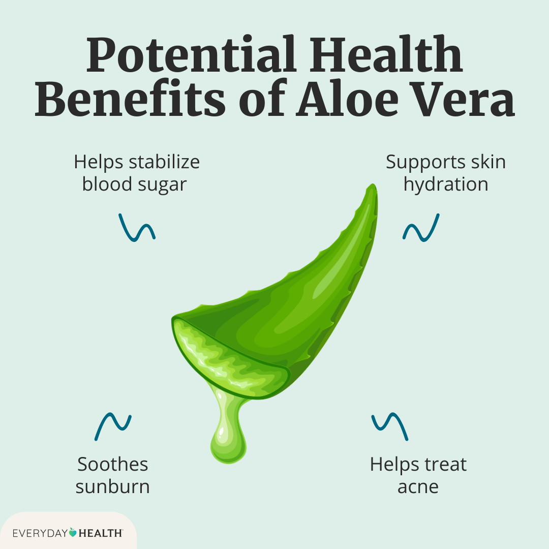Aloe Vera, Benefits For The Body - Edition Time