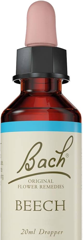 Beech, Bach Flower: Properties And Price - Edition Time