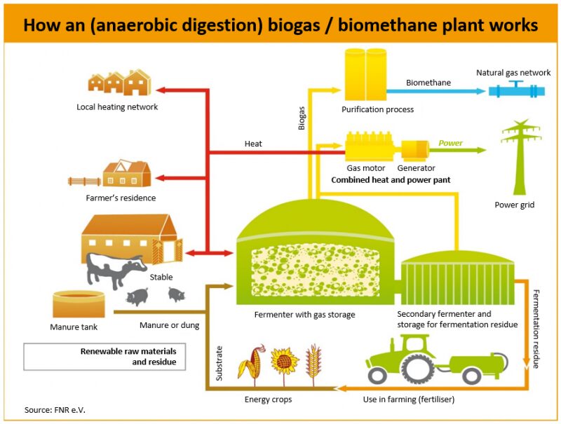 Bioenergy Project, Biogas From Agriculture - Edition Time