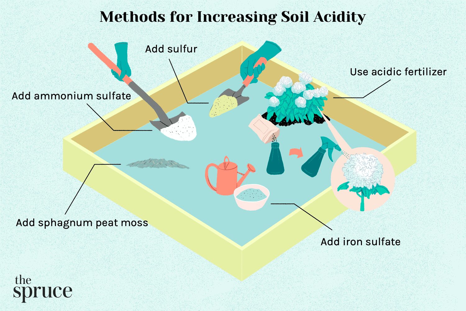How to Raise The pH of The Soil - Edition Time