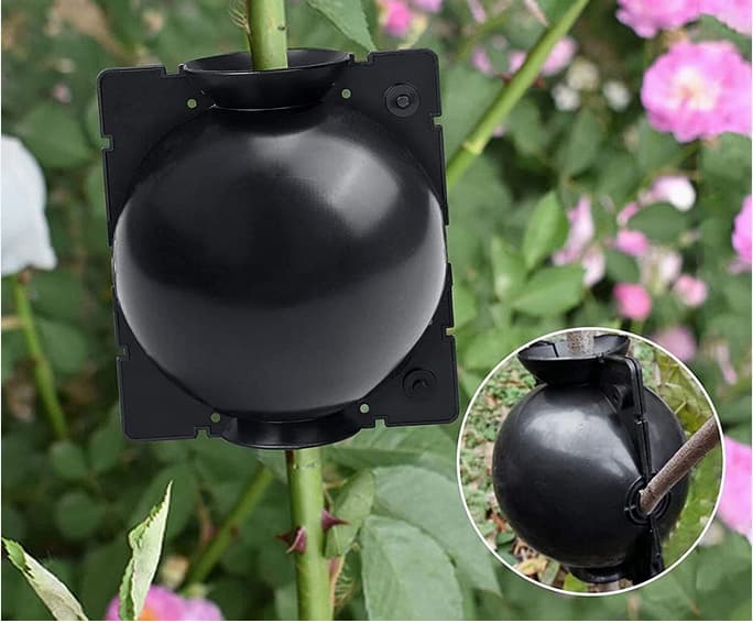 How to Clone Plants And Flowers With Propagation Balls - Edition Time