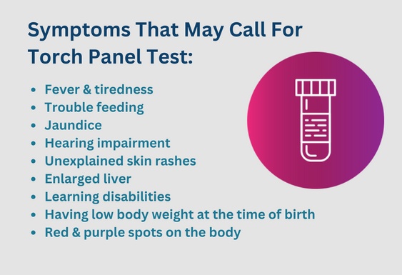 Torch Complex: Definition, Analysis, Cost And Exams - Edition Time