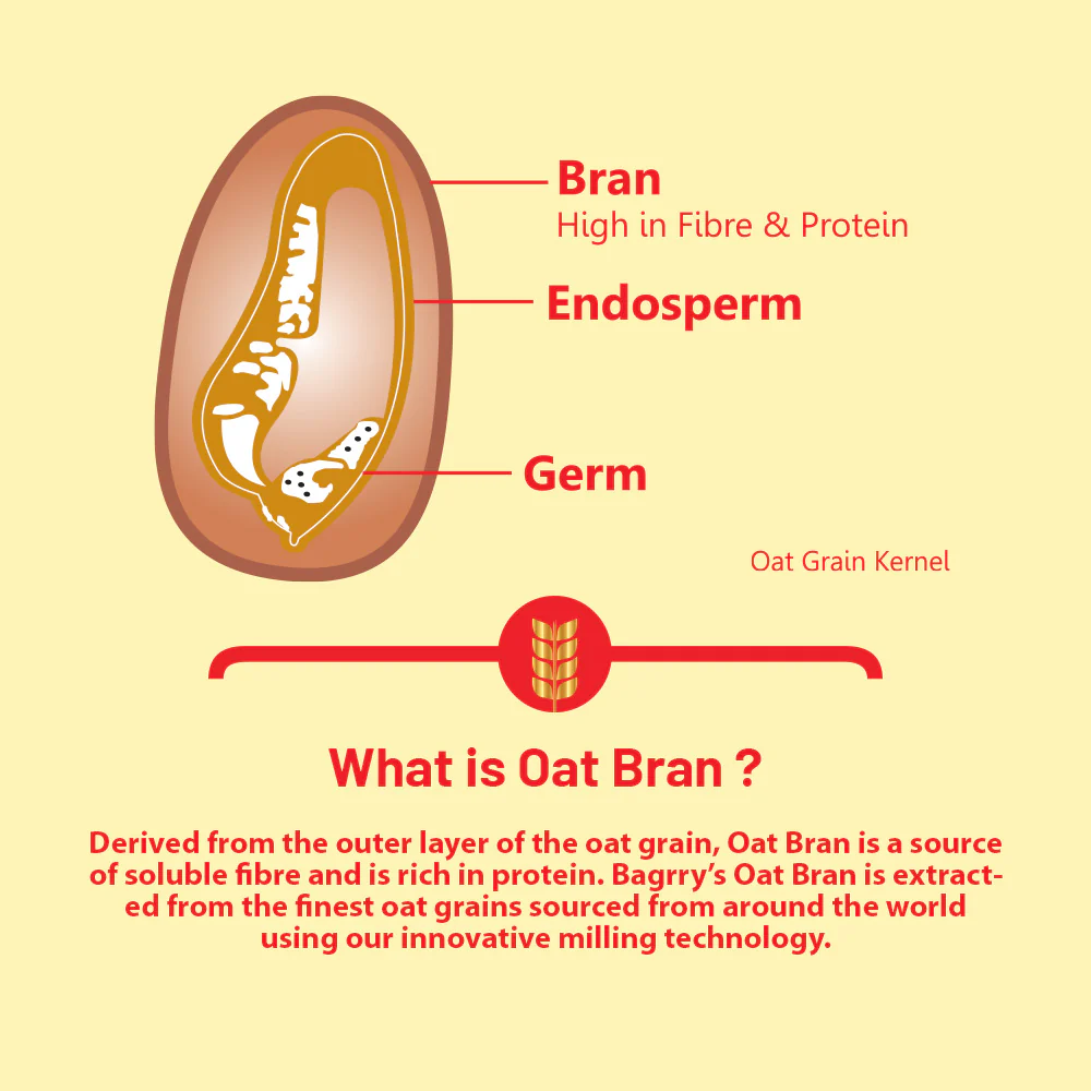 Oat Bran: Characteristics And Benefits - Edition Time