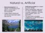 Differences Between Natural And Artificial Ecosystems - Edition Time
