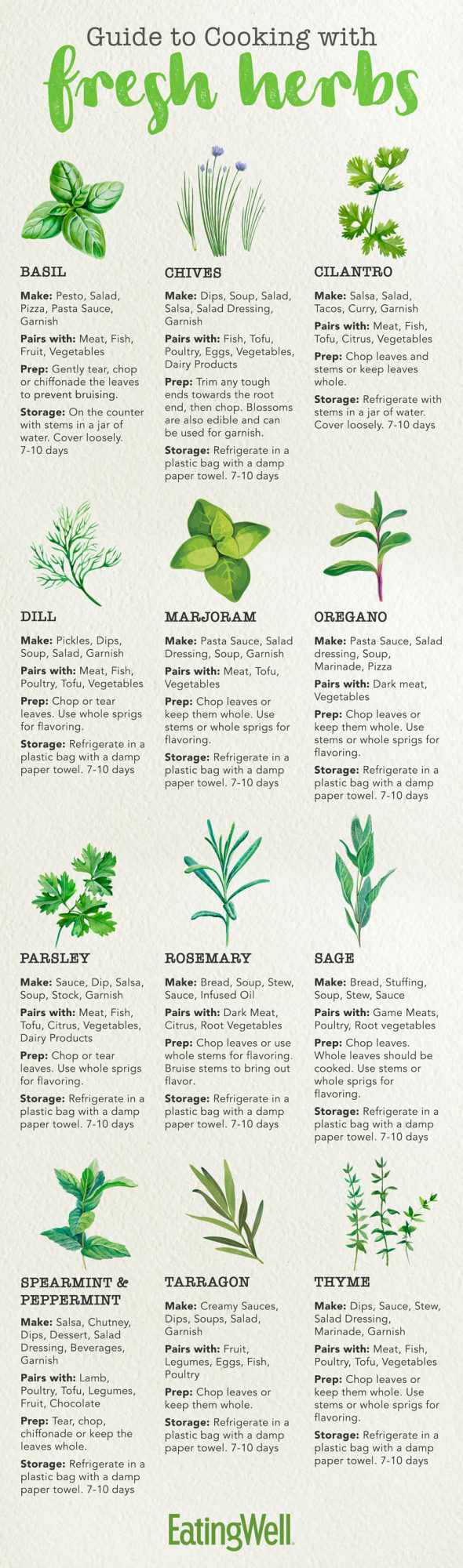 Edible Herbs, List And Information - Edition Time