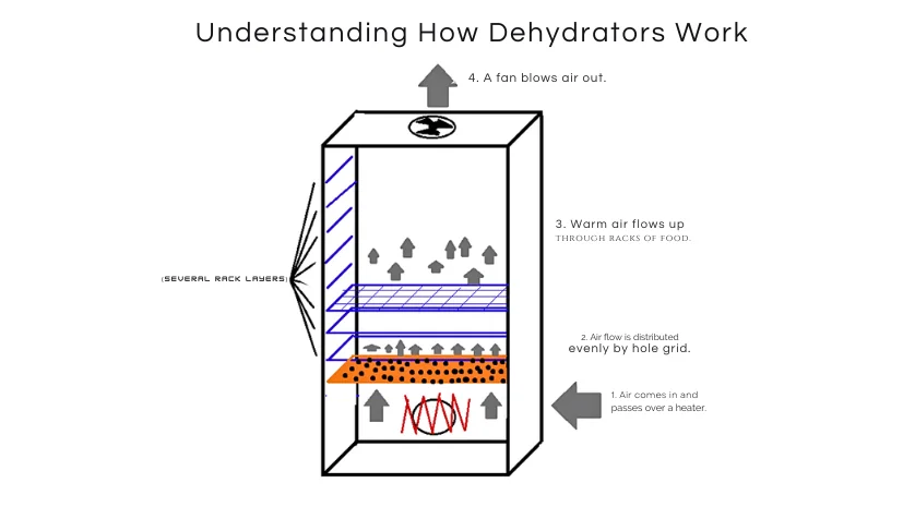 Food Dehydrator, How it Works - Edition Time
