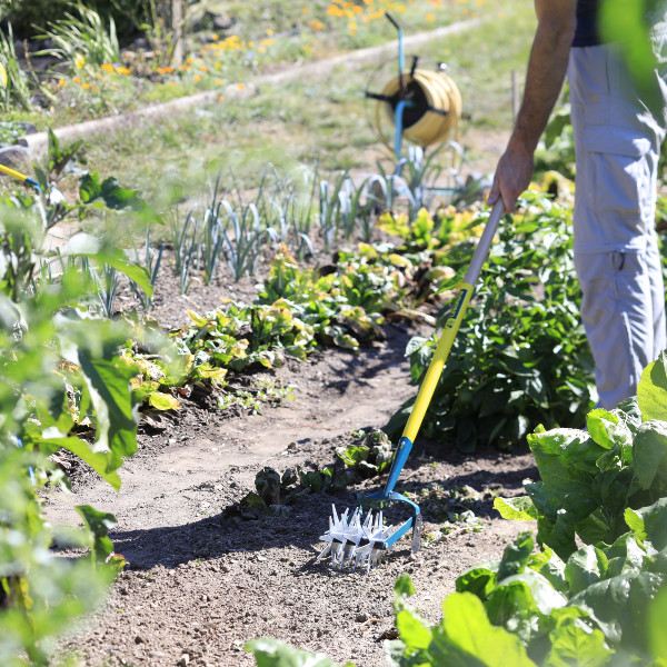 What is it For And How to Use The Weeder Clod Breaker - Edition Time