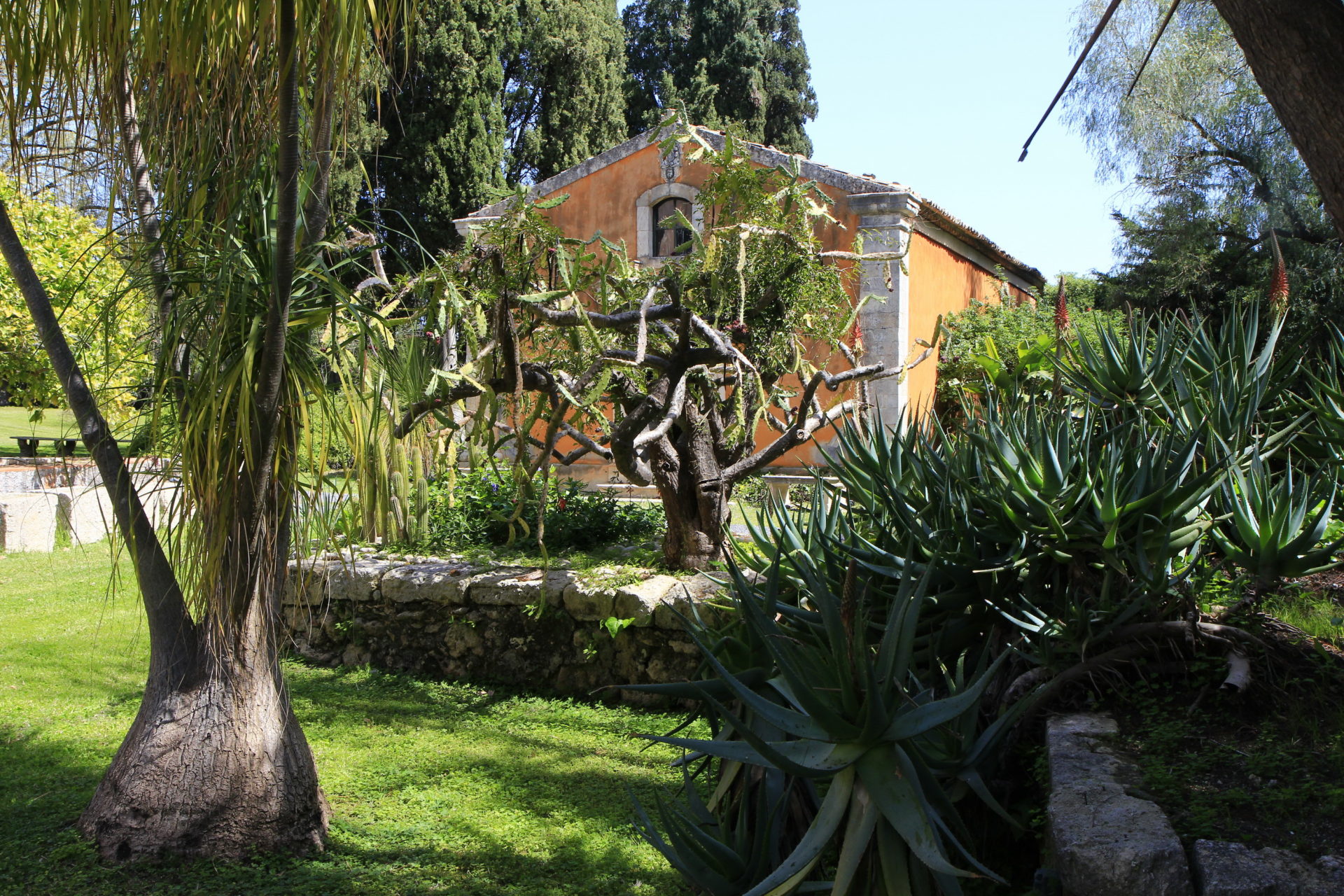 Gardmed, to Save The Gardens of The Mediterranean - Edition Time