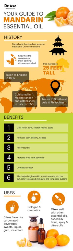 Mandarin, Properties And Benefits - Edition Time