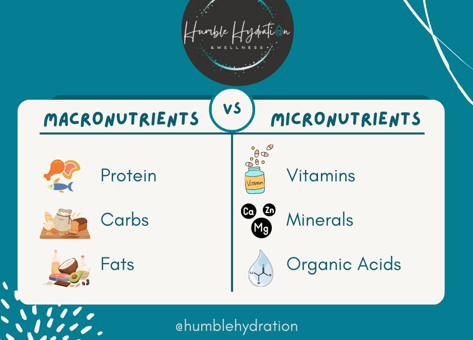 Micronutrients And Macronutrients: What They Are And Where They Are ...