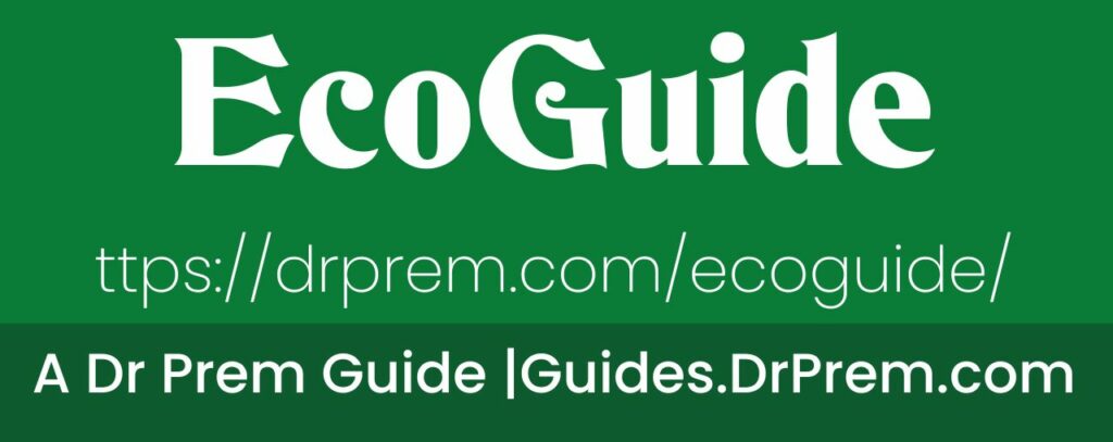 Mini Zero, The Ultra Light Sequel For 2013 - Edition Time