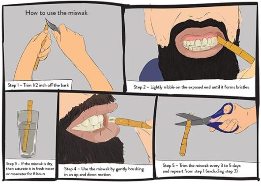 Miswak: What it is And How to Use it - Edition Time