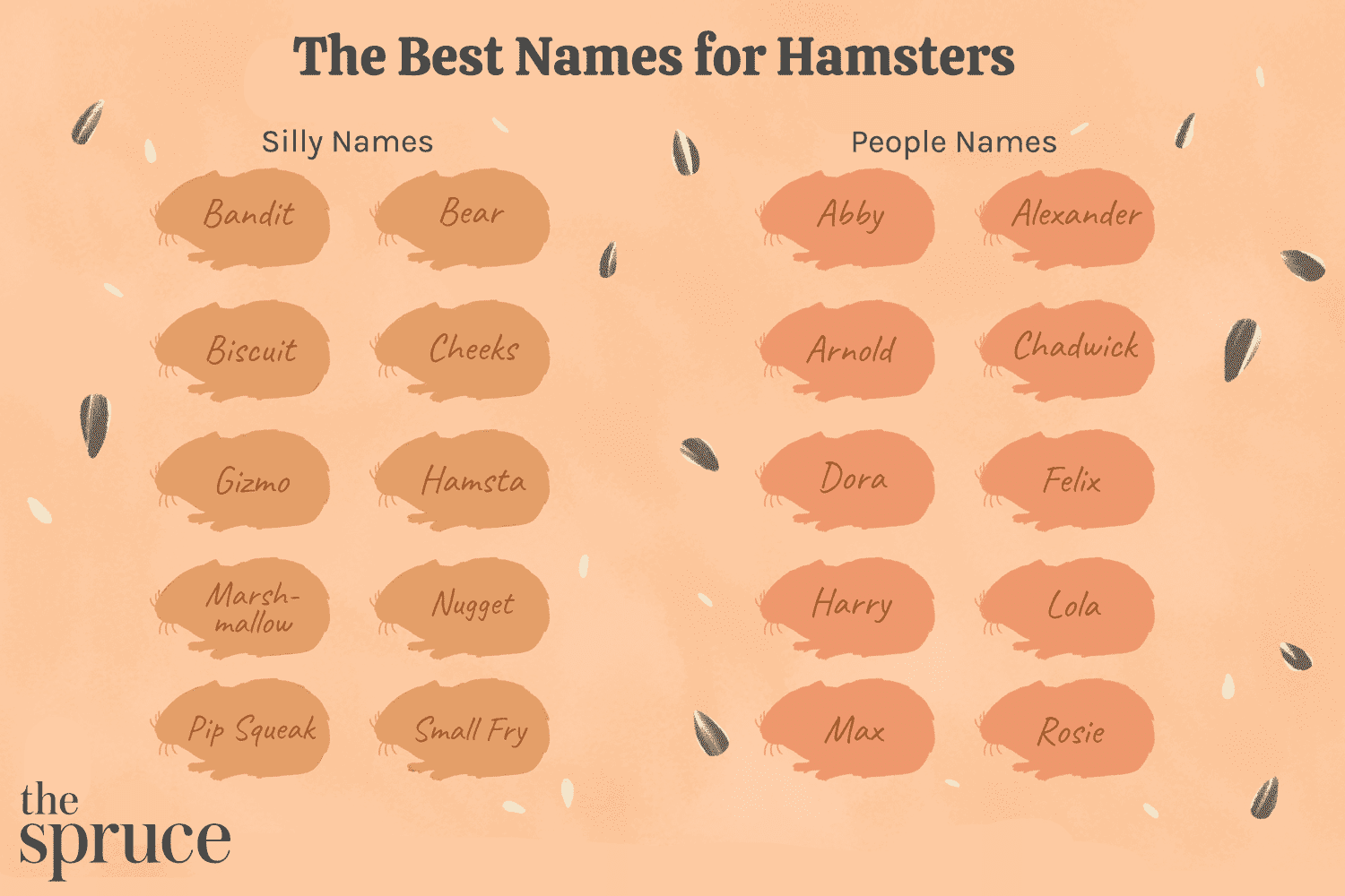 Names For Hamsters: Which One to Choose - Edition Time