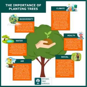 Planting: Meaning And Trees - Edition Time