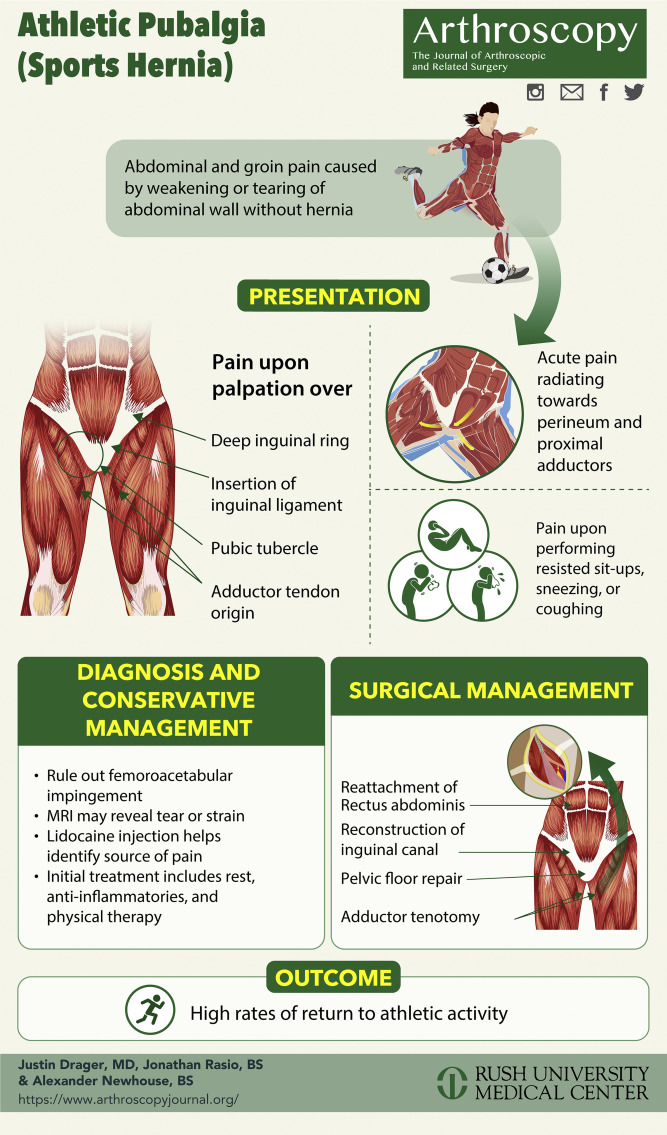 Pubalgia: Symptoms, Remedies And Exercises - Edition Time
