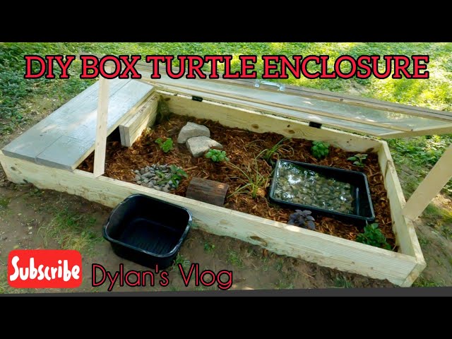 Enclosure For Land Turtles - Edition Time