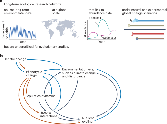 Long-term Ecological Research: What it is And Why it Matters - Edition Time