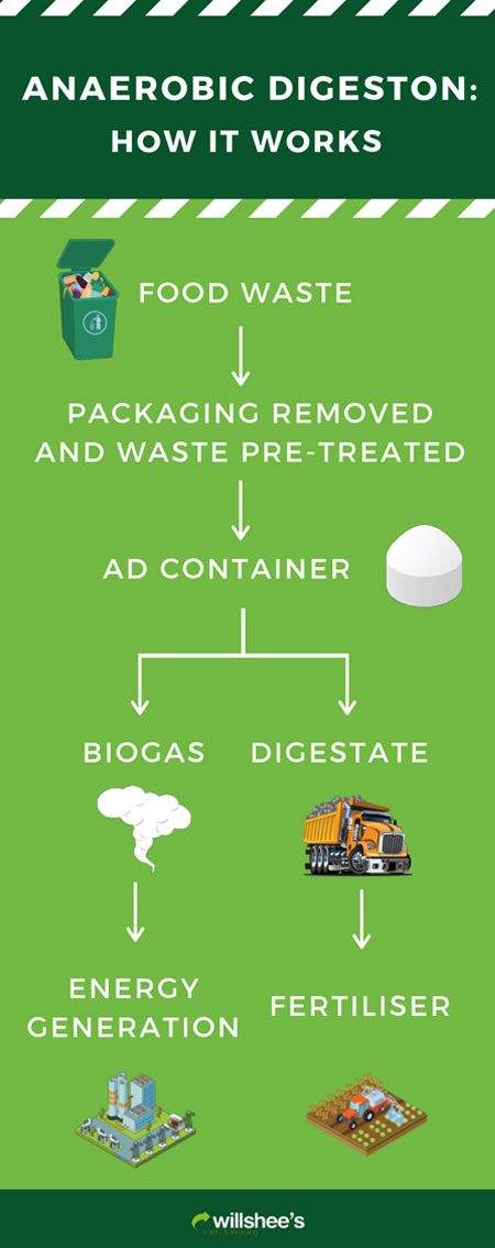 Food Waste And Energy Waste - Edition Time