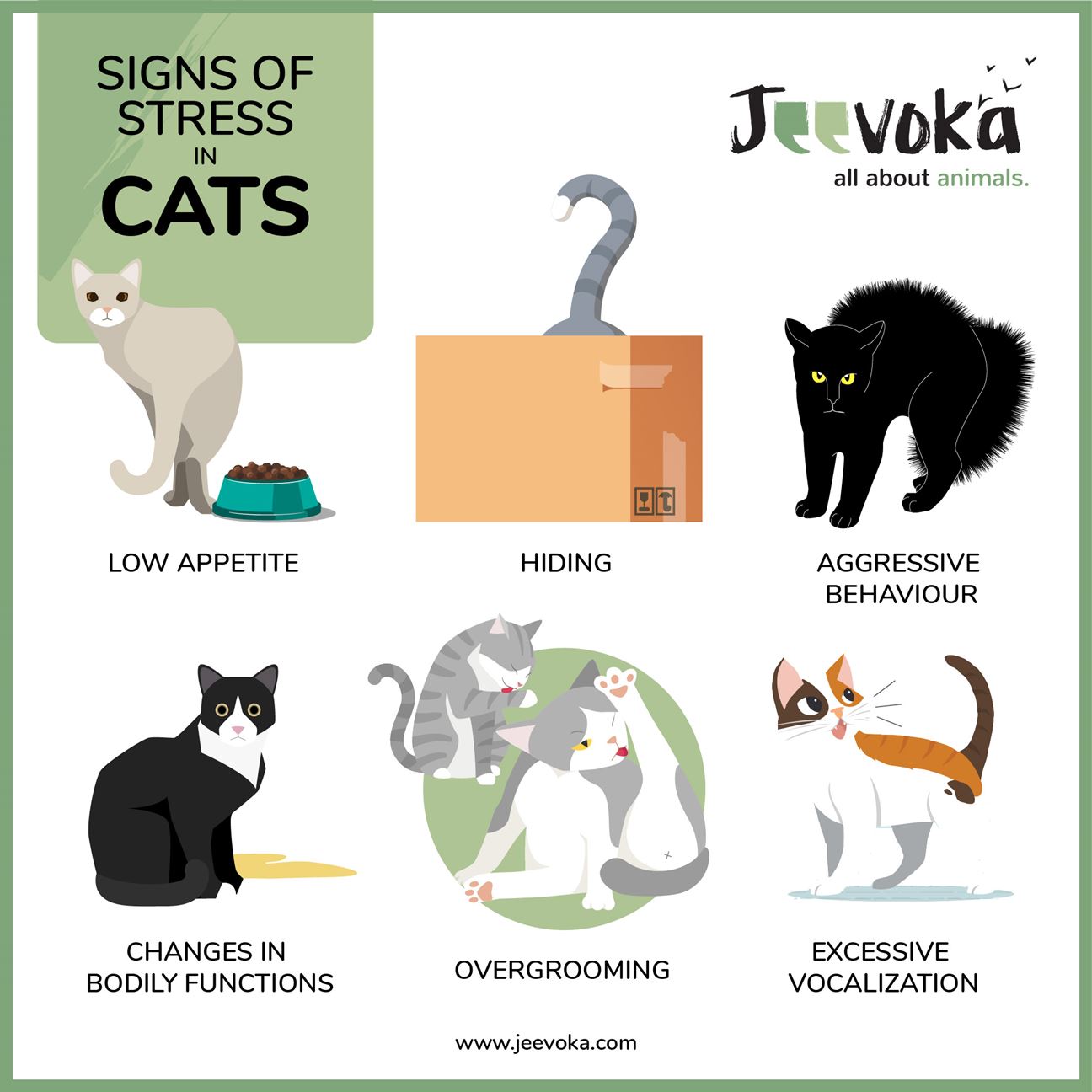 Stress in Dogs And Stress in Cats - Edition Time