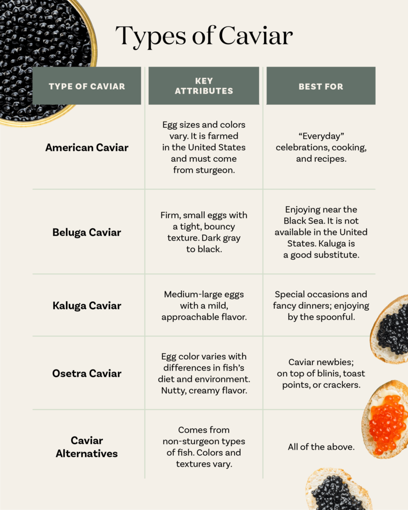 Varieties of Caviar, What to Know And Purchases - Edition Time