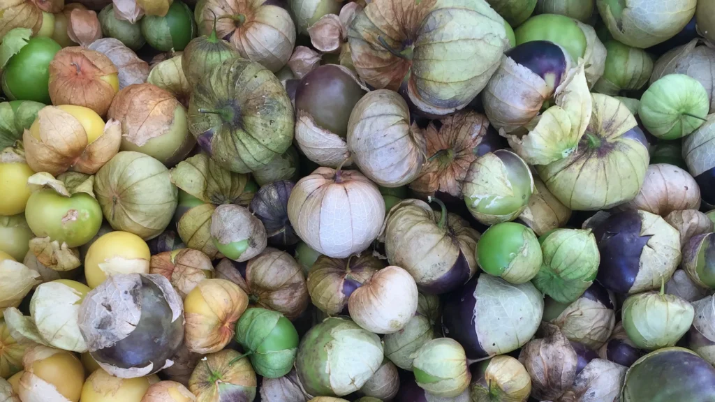 Tomatillo: How to Eat it And Properties - Edition Time