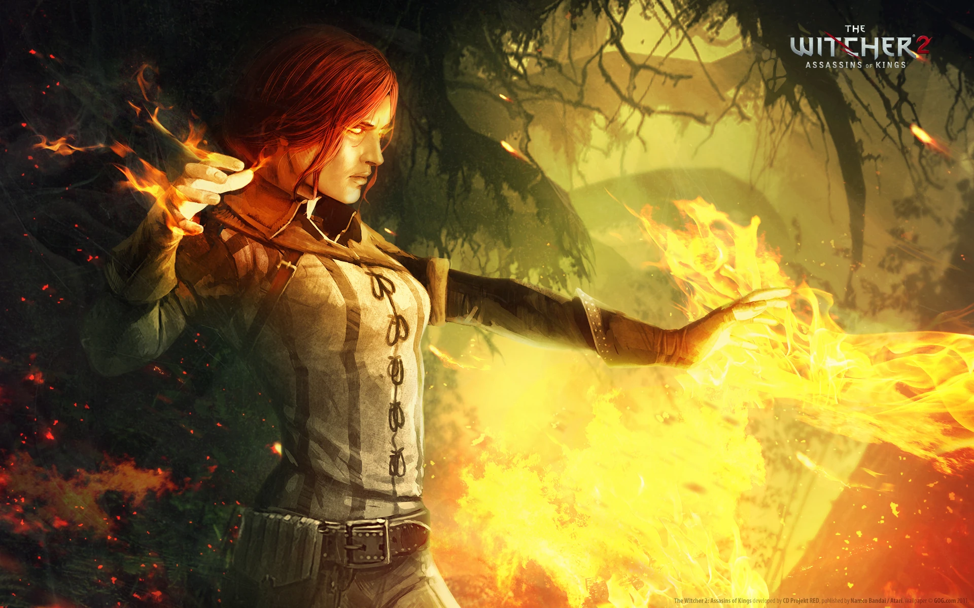The Witcher: What You Need to Know About The Complex Magic System And ...